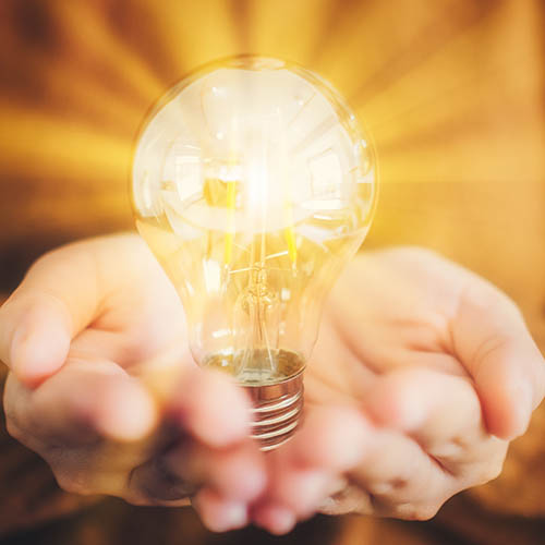 Private Label - PrimeBite